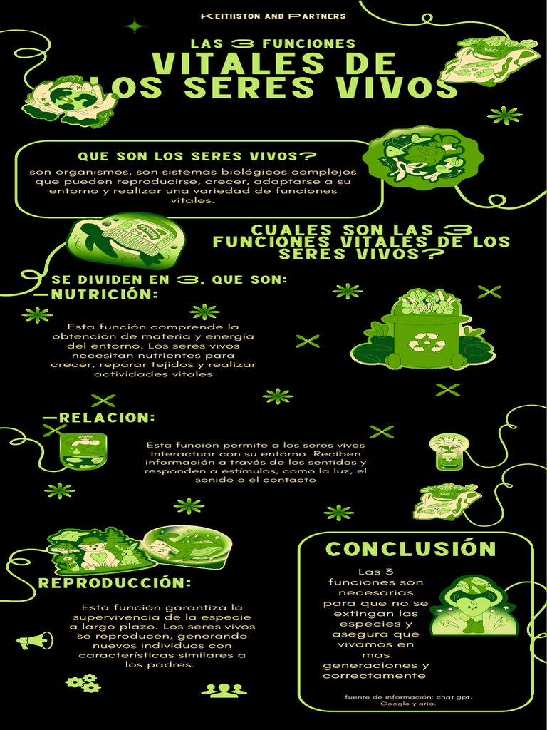 Las 3 Funciones | PDF