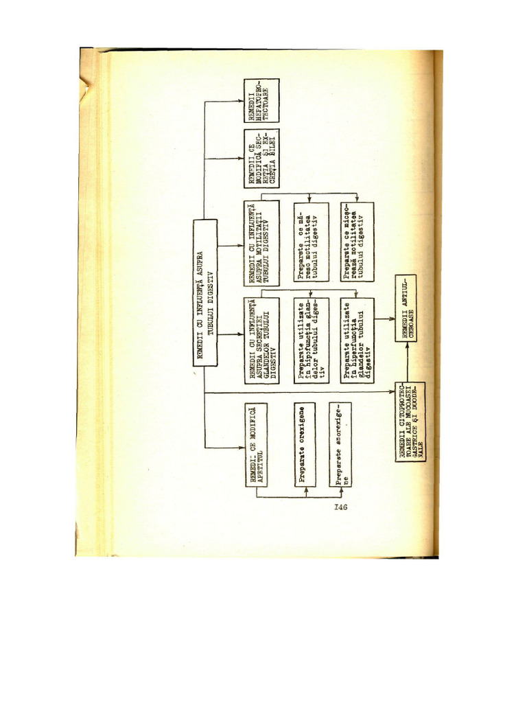 7.remedii Cu Influenta Asupra Tubului Digestiv | PDF