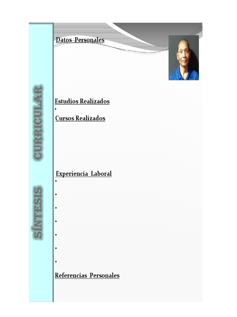 Curriculum Luis Lira | PDF