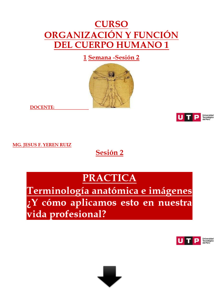 S01.s2 - PRACTICA - TERMINOLOGIA ANATOMICA E IMA-MANDUJANO ALVARADO NICOLE | PDF | Anatomía ...
