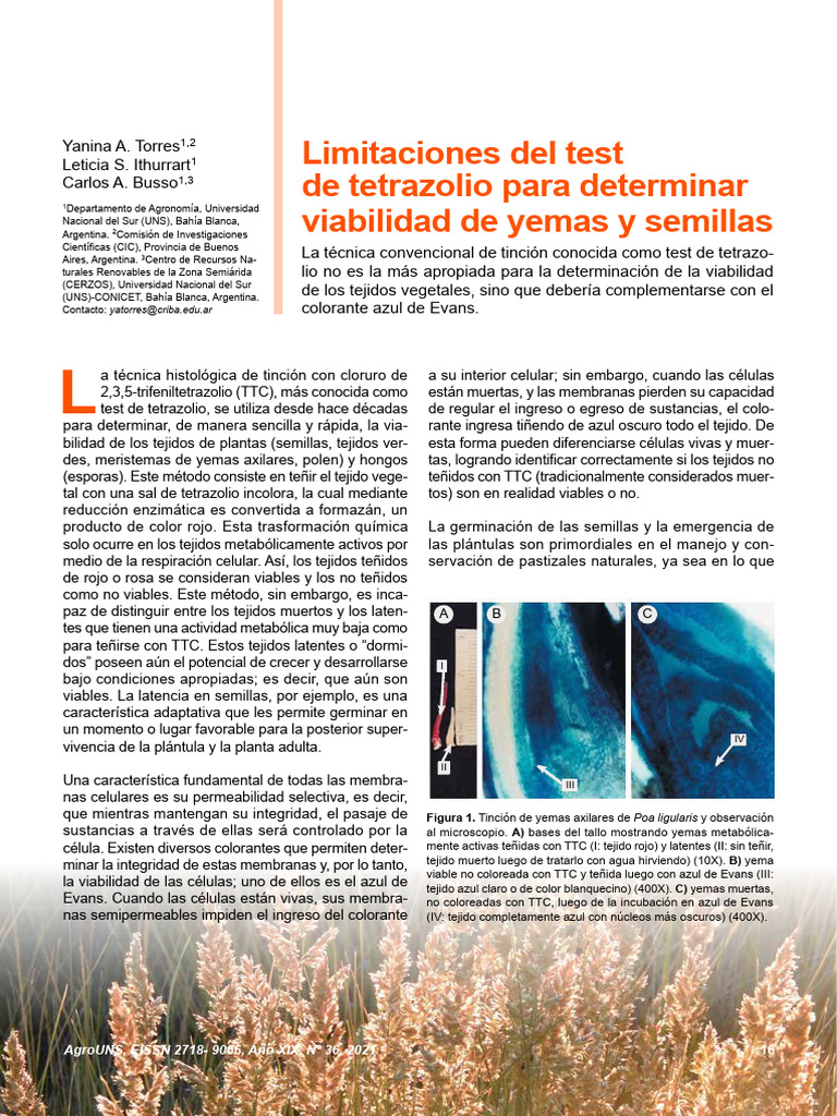 Test de tetrazolio y viabilidad celular | PDF | Tinción | Tejido (biología)