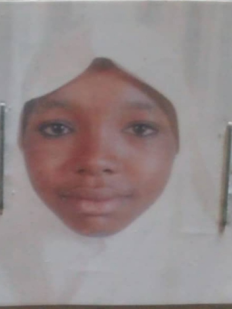 Downloadfile Bin | PDF