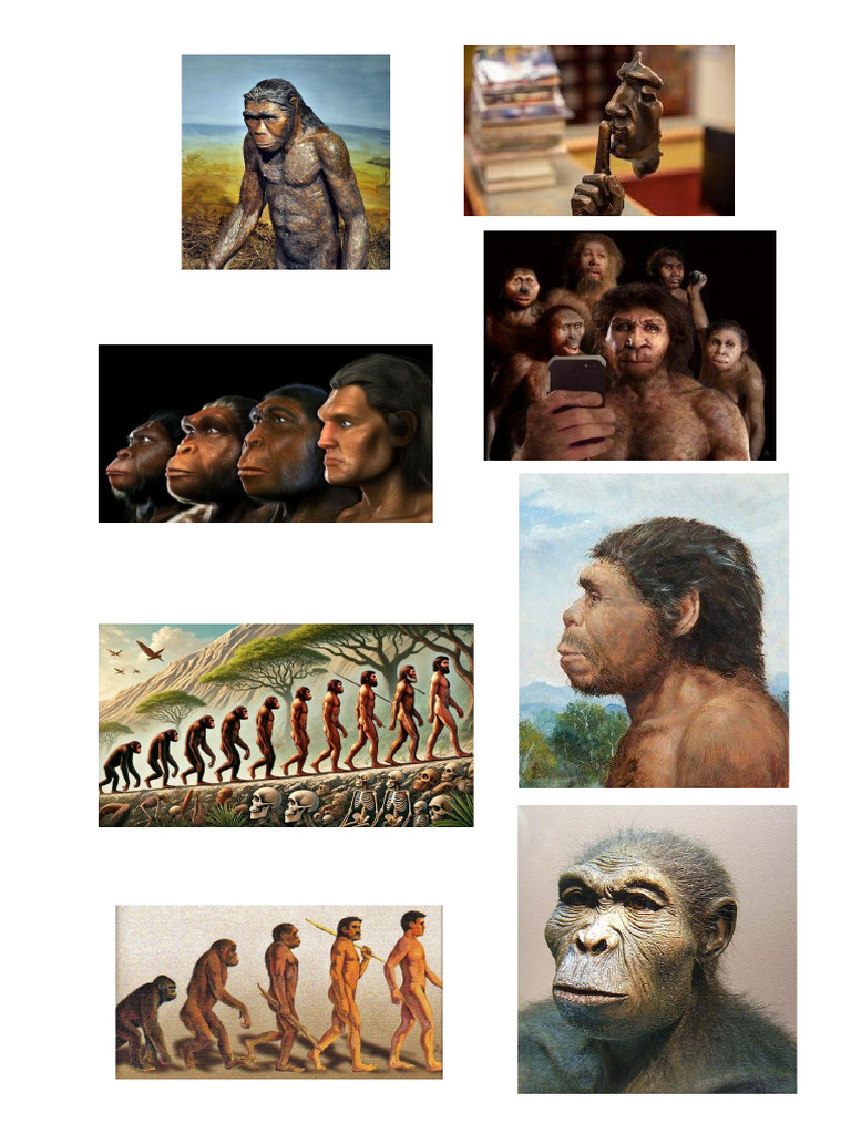 Homosapiens | PDF