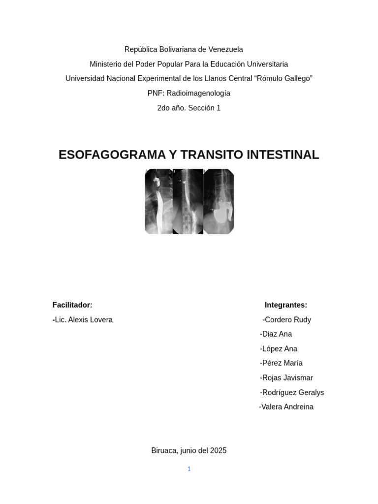 Qué Es y para Qué Sirve El Esofagograma | PDF | Intestino delgado | Esófago