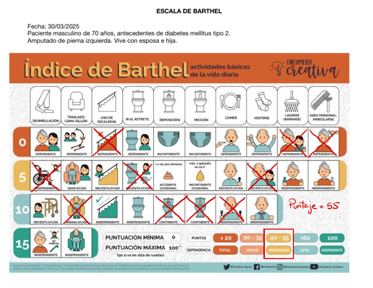 Índice de Barthel 1 | PDF