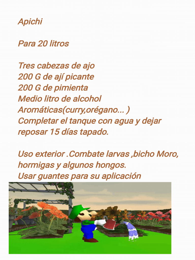 Apichi Pdf