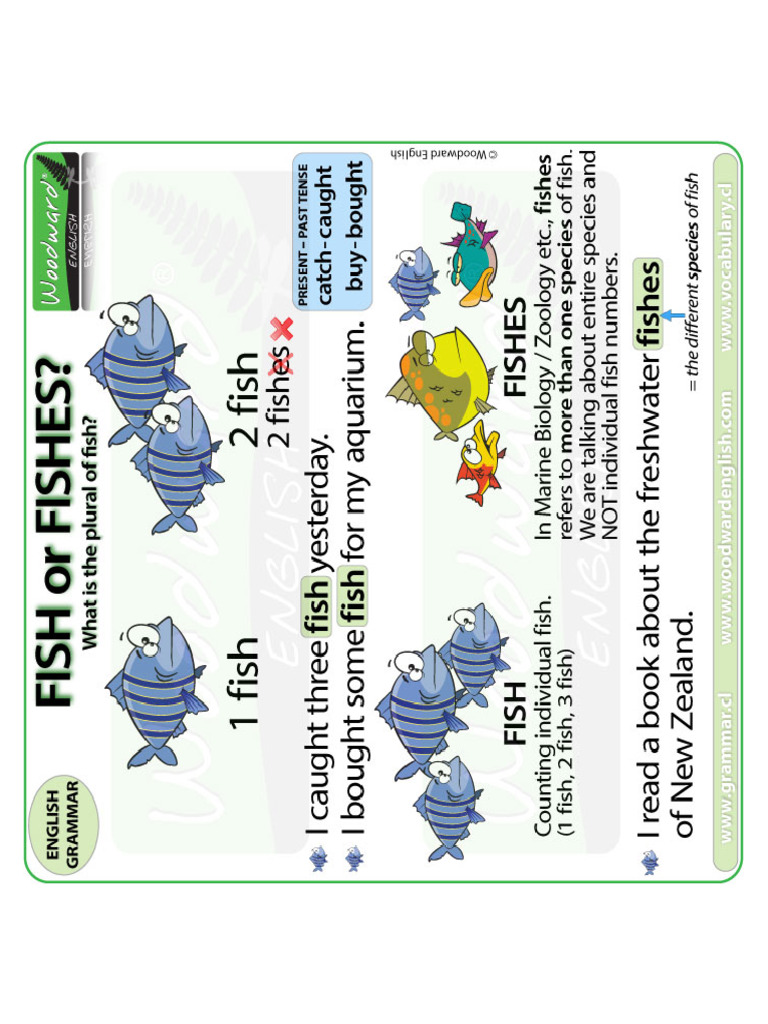 Fish or Fishes Plural of Fish - JPG | PDF