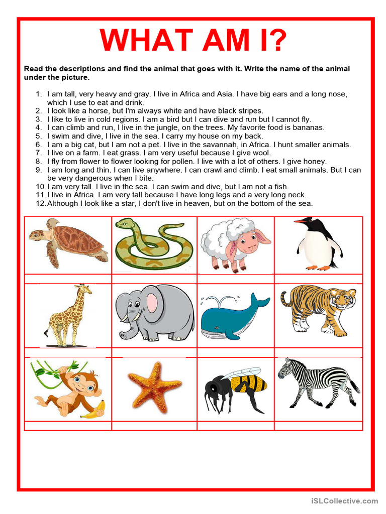 Animals - What Am I | PDF