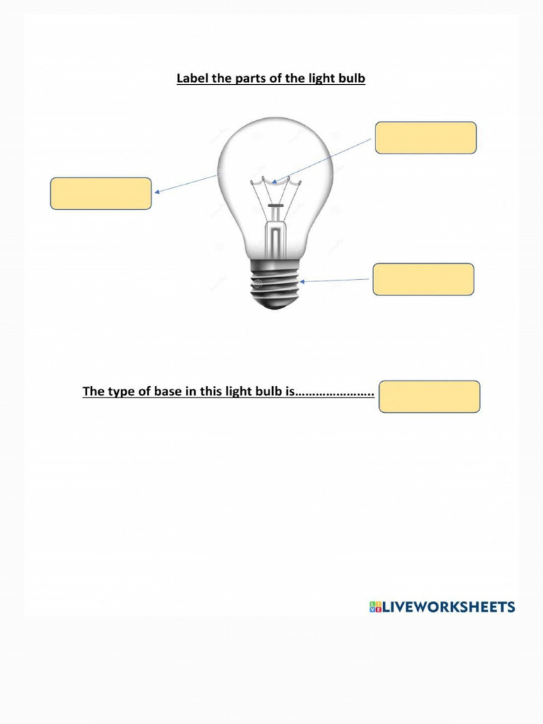 Parts of A Bulb | PDF