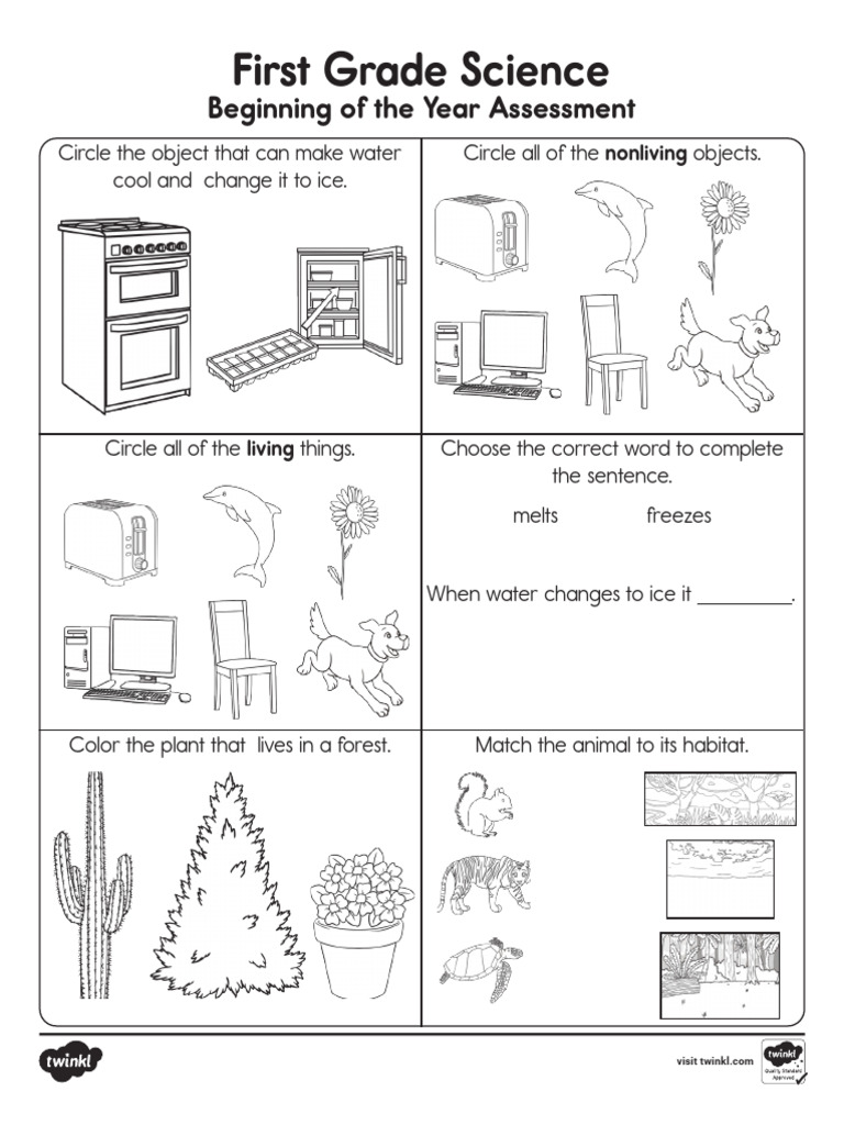 First Grade Science Assessment Guide | PDF | Botany | Plants