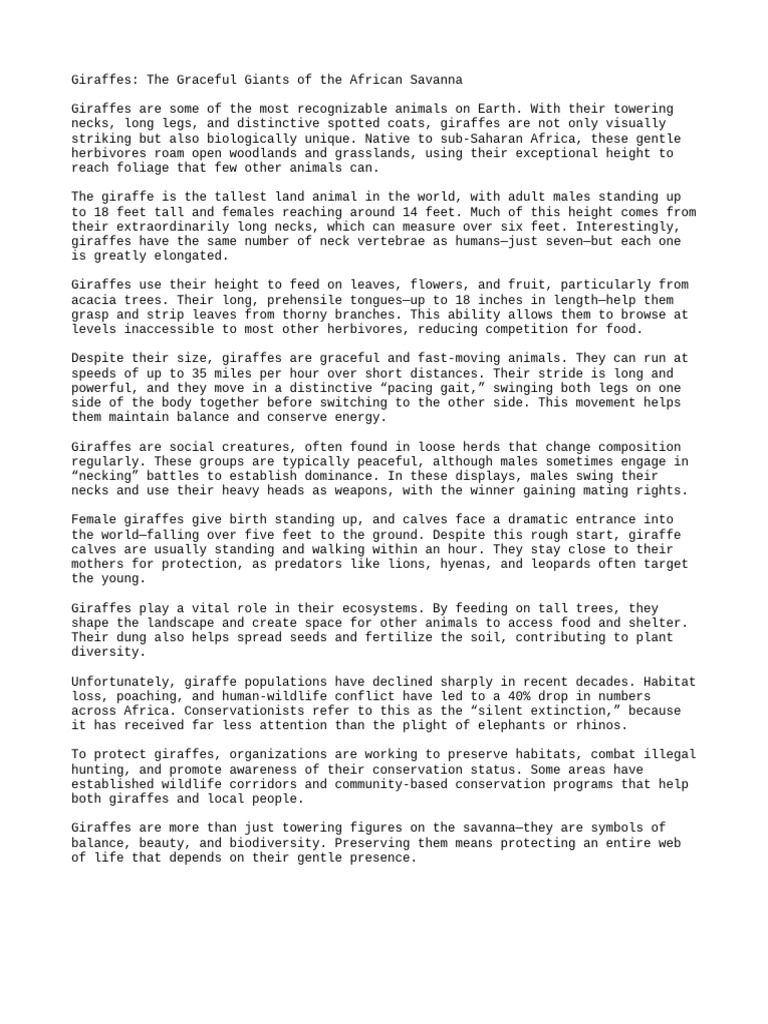 Article - Giraffes - The Graceful Giants of The African Savanna | PDF | Giraffe | Organisms