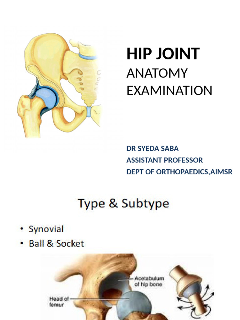 Hip Joint PPT - DR Saba | PDF