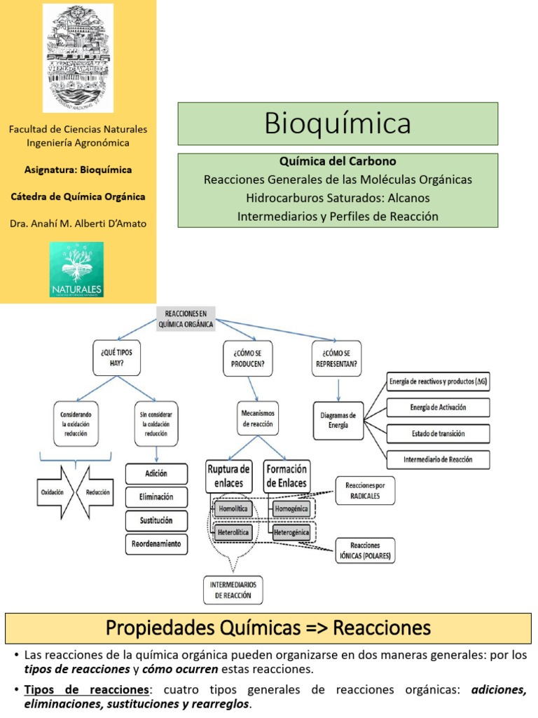 Tema 2 - Teoría - 02 - Bioqca - Reacciones | PDF | Alcano | Radical (Química)
