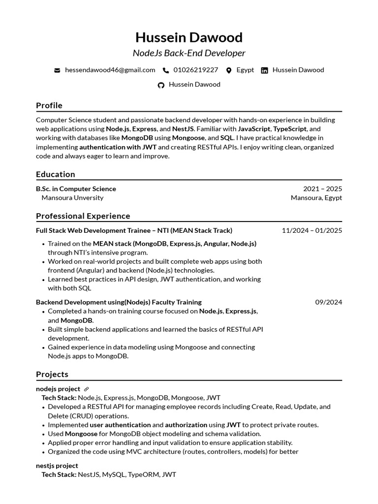 Hussein Dawood FlowCV Resume 20250502 1 | PDF | Web Development | Computing