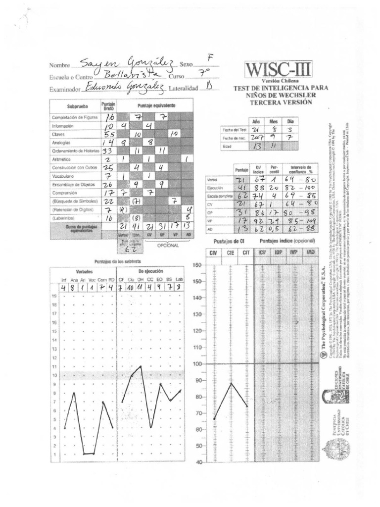 Protocolo WisC-III Sayen Gonzalez | PDF