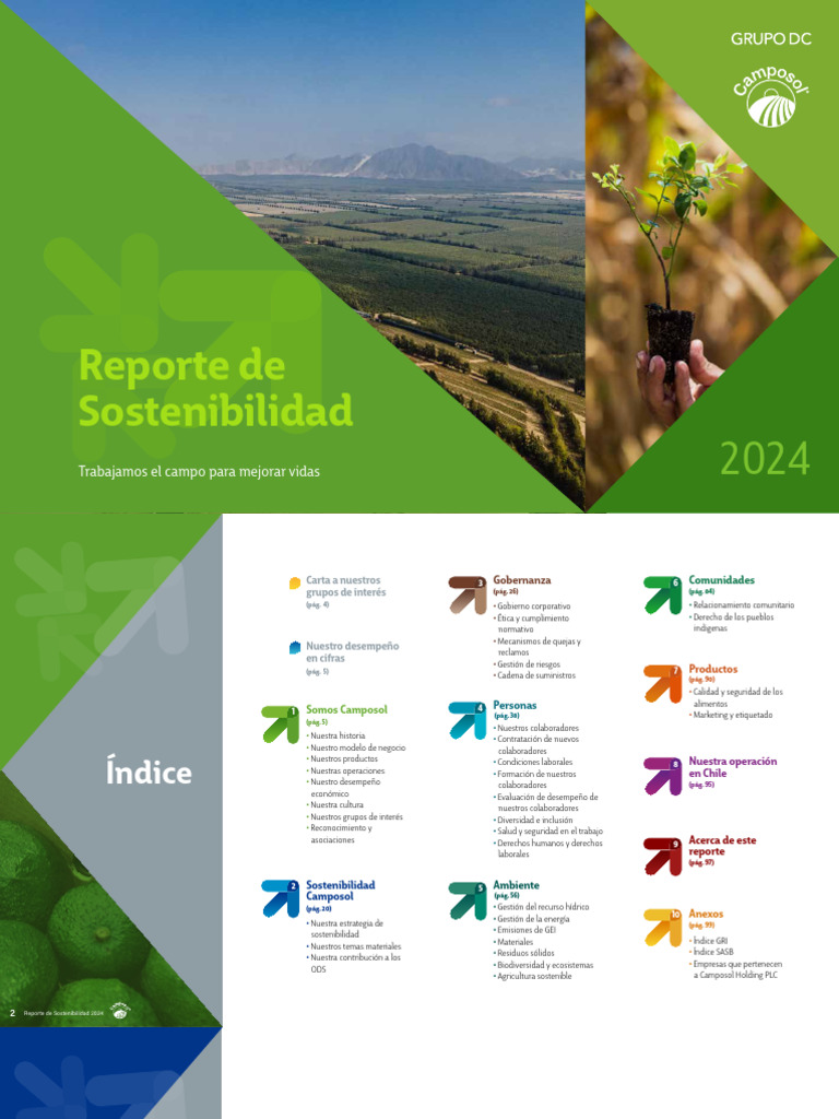 Informe Sostenibilidad Campo Sol 2024 | PDF | Sustentabilidad | Fruta
