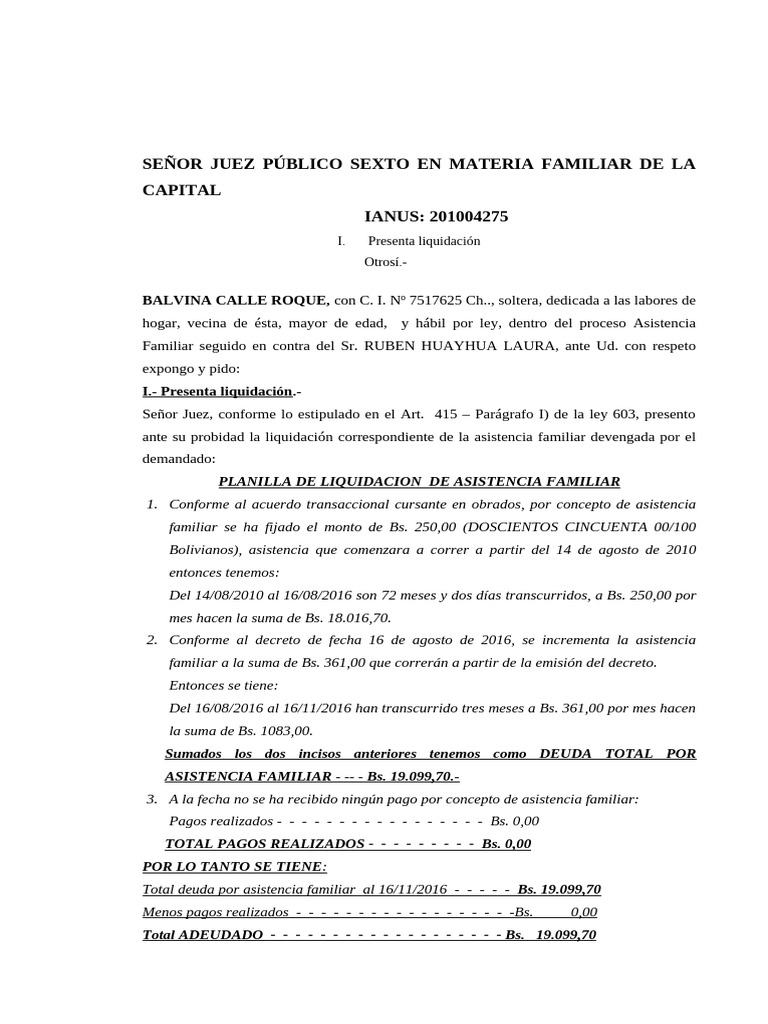 Liquidación de Asistencia Familiar: Bs. 19,099.70 | PDF