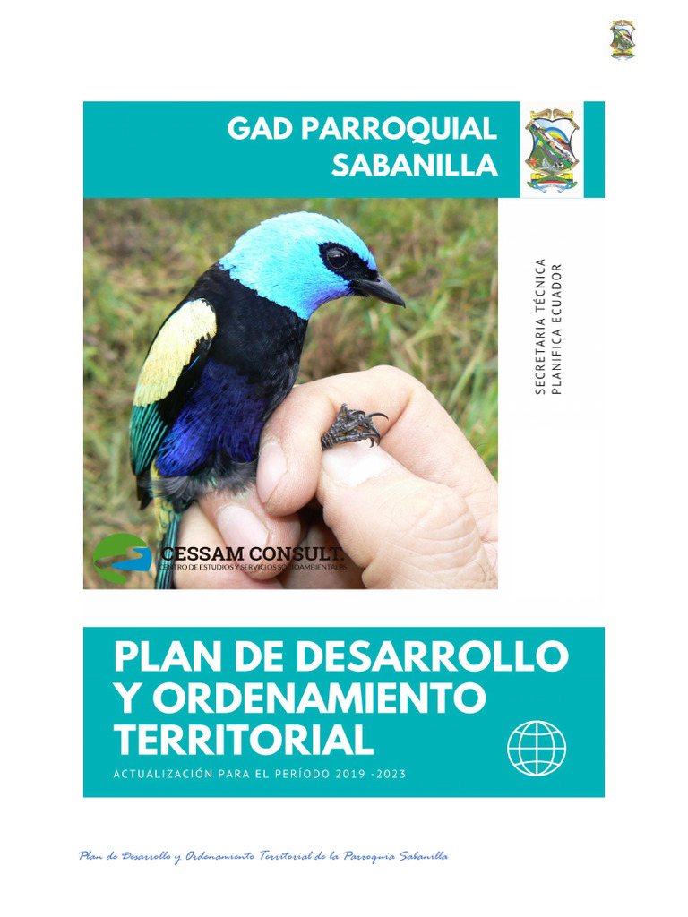 PDOT-SABANILLA PERIODO 2019 - 2023 CESSAM CONSULT SA | PDF | Gobierno ...