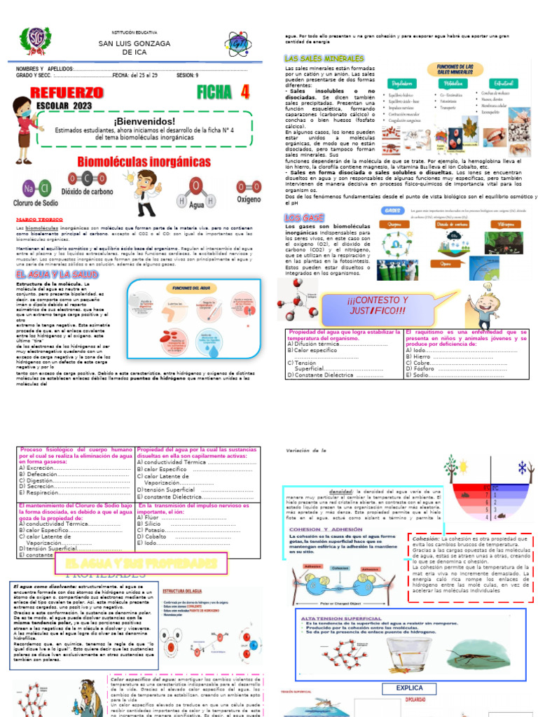 Ficha de Refuerzo Escolar de Cyt | PDF | Propiedades del agua | Polaridad química