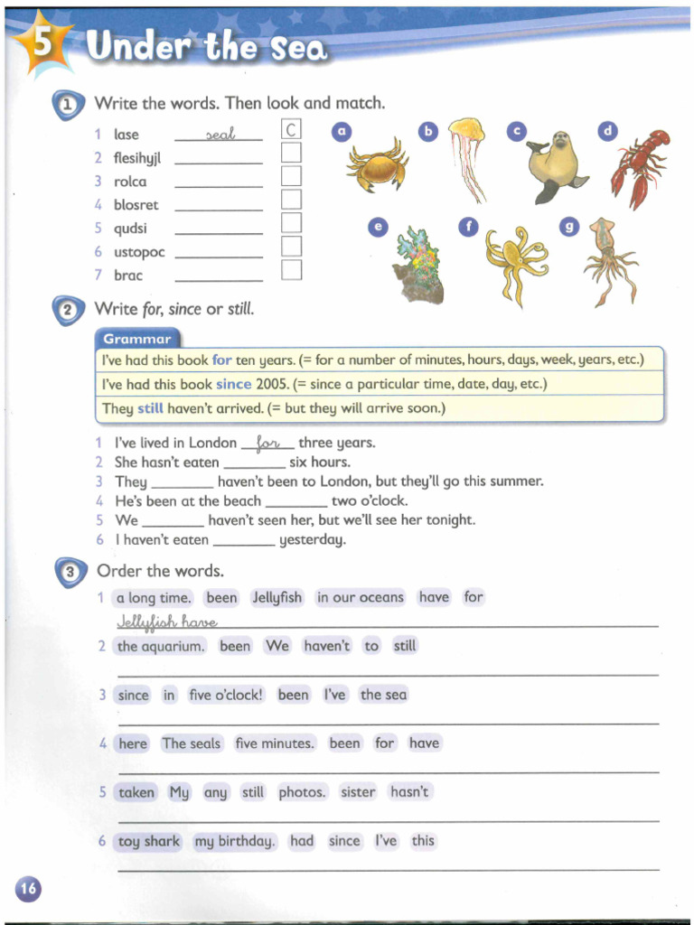 6º English KID's BOX My Home Booklet 5 | PDF