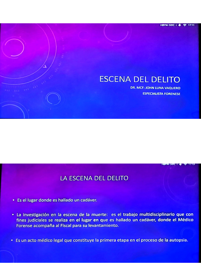 Escena Del Delito | PDF