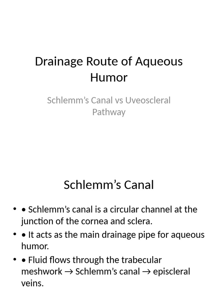 Aqueous Humor Drainage Presentation | PDF