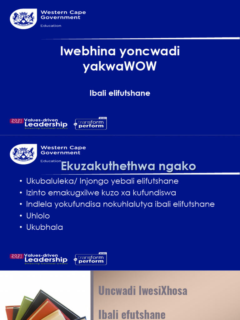 IsiXhosa Ibali Elifutshane Agnes | PDF | Chess Theory | Chess