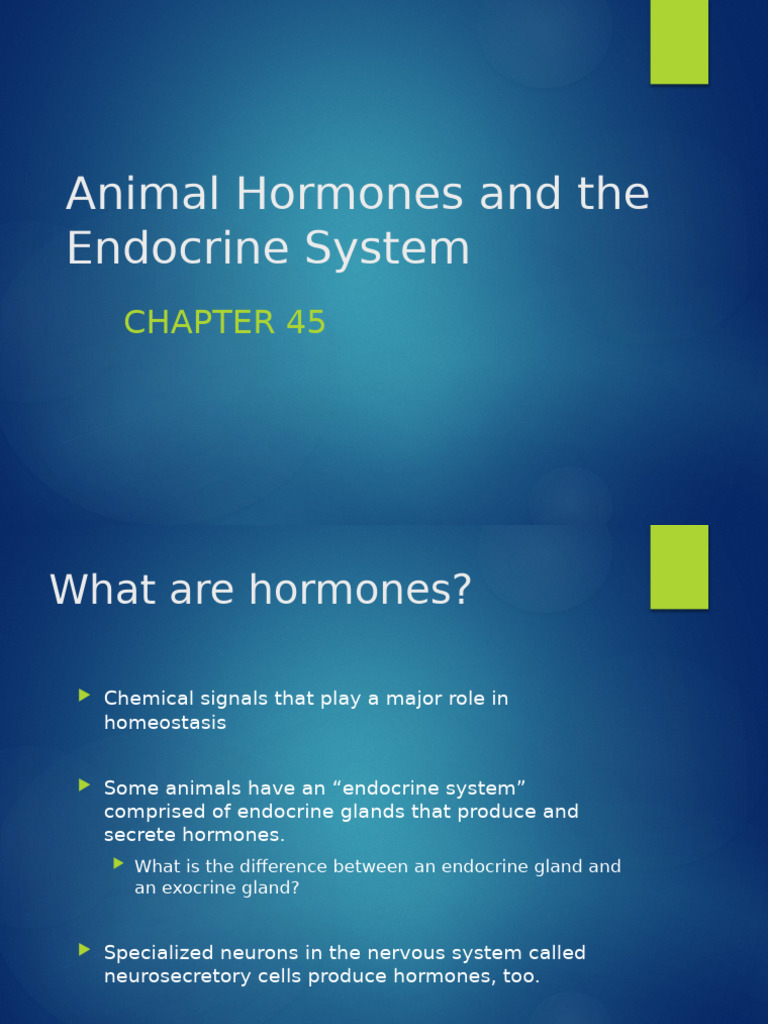 Animal Hormones and The Endocrine System | PDF | Endocrine System | Hormone
