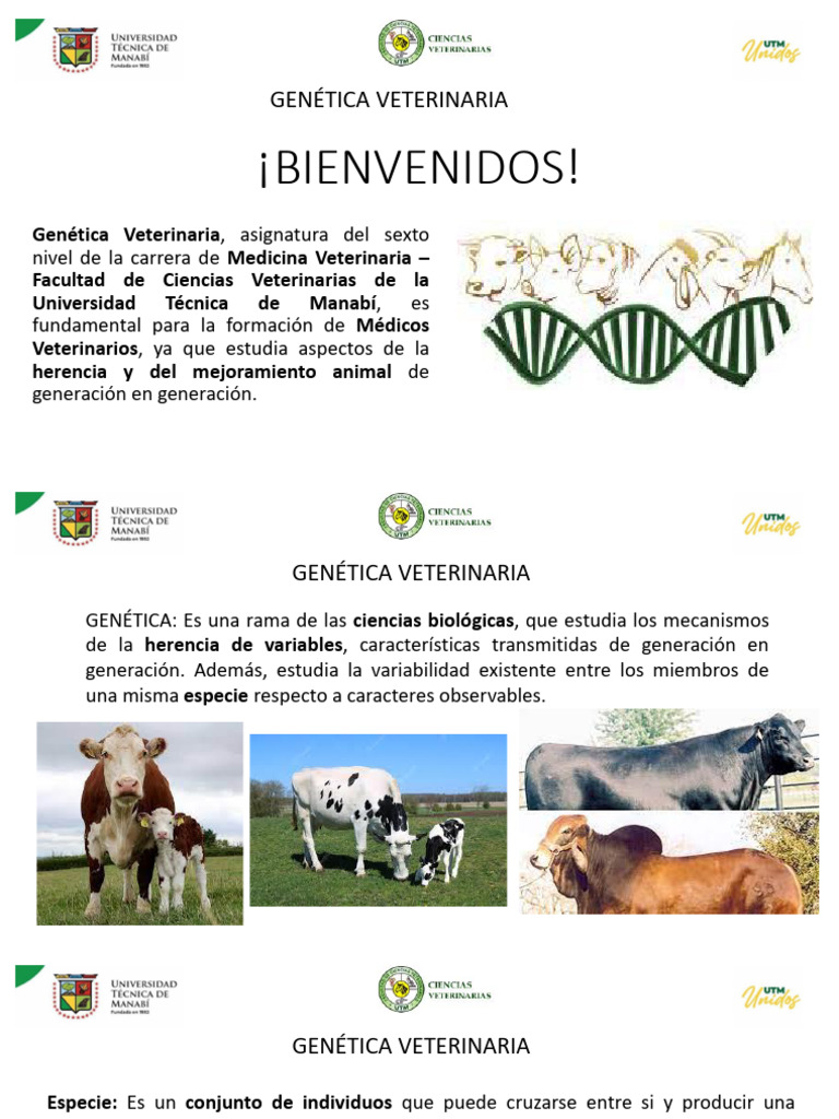 Genética Veterinaria y Mejoramiento Animal | PDF | Domesticación | Biología
