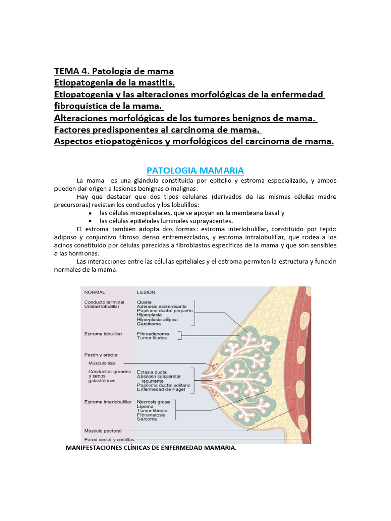 Patología Mamaria: Mastitis y Tumores | PDF | Cáncer de mama | Cáncer
