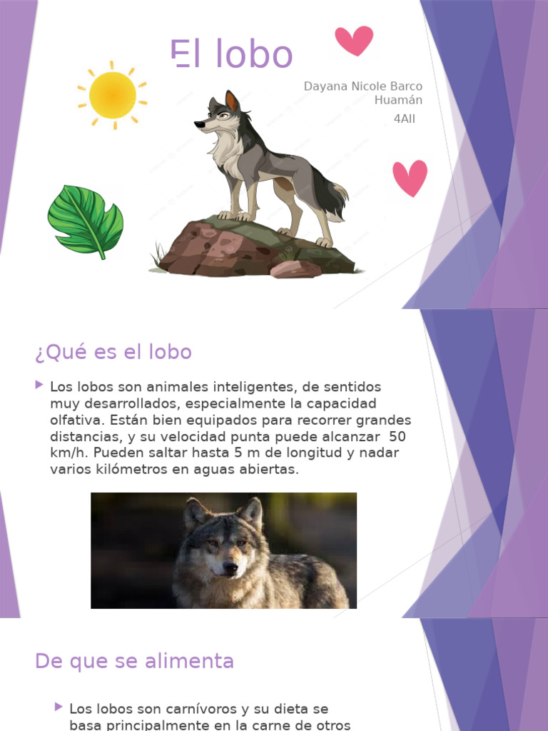 El Lobo | PDF