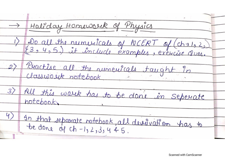 Physics Holiday Homework | PDF