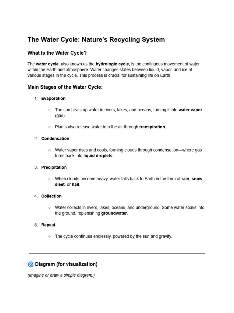 Understanding the Water Cycle | PDF