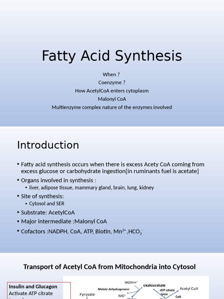 Rate Limiting Step in Fatty Acid Synthesis | PDF | Nicotinamide Adenine ...