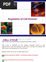 POGIL Activities For AP Biology - Cell Cycle and Regulation | PDF ...