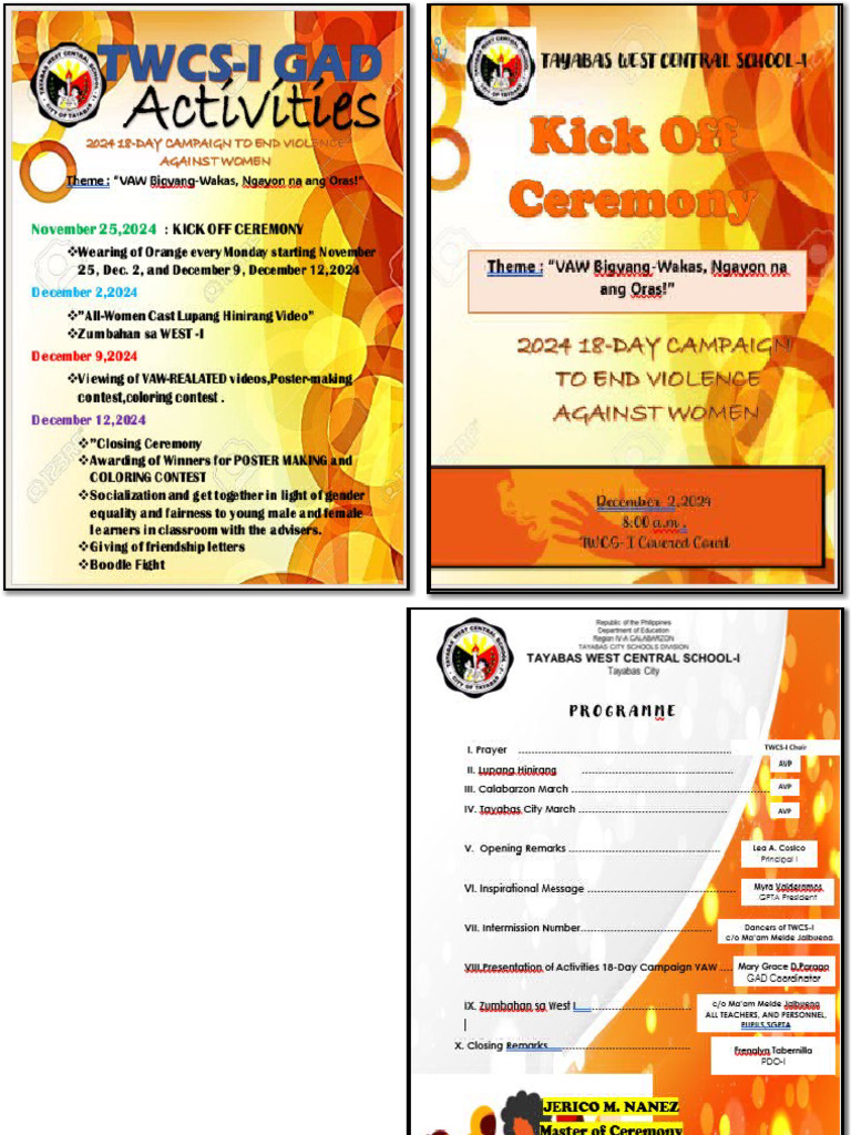 Vaw Program | PDF