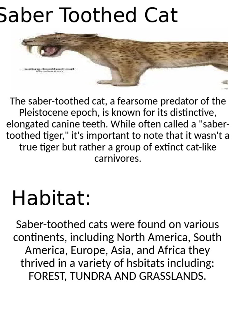 Saber Toothed C-WPS Office | PDF