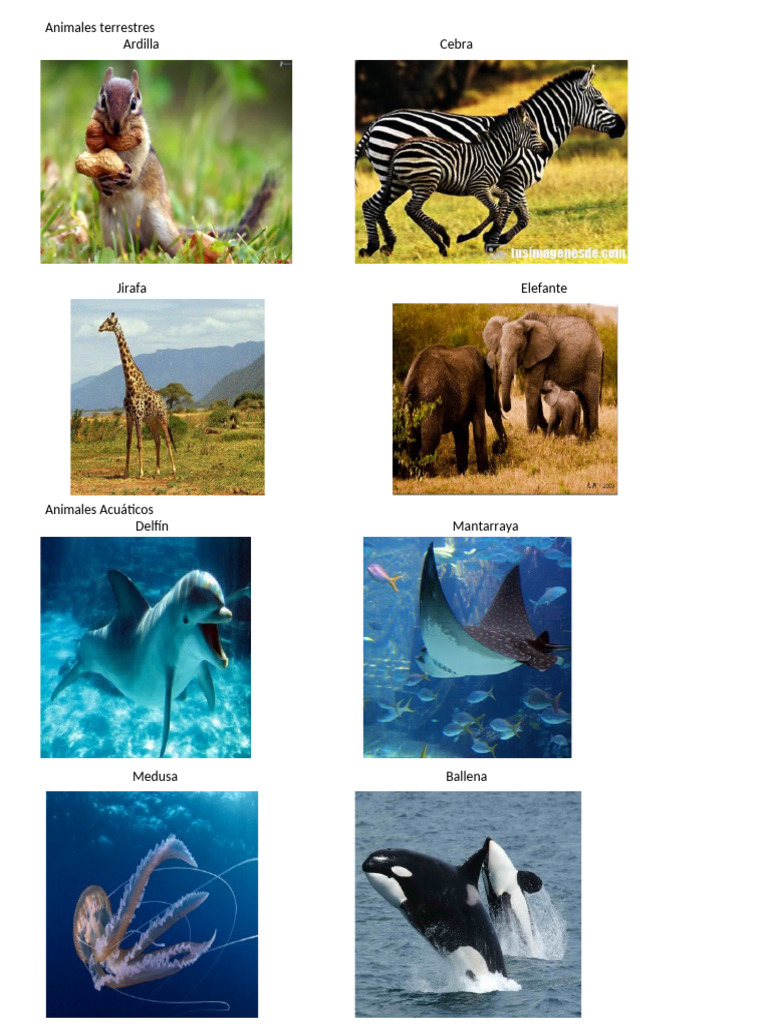Animales Terrestres | PDF
