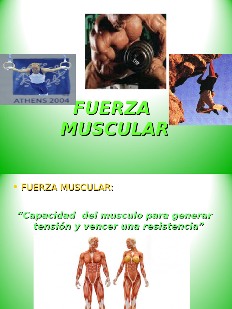Fuerza Muscular | PDF