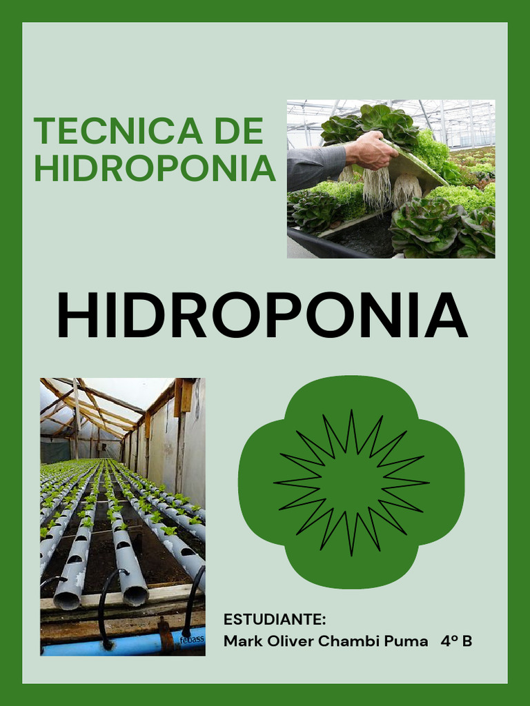 Hidroponia Oliver | PDF | Hidroponia | Agricultura