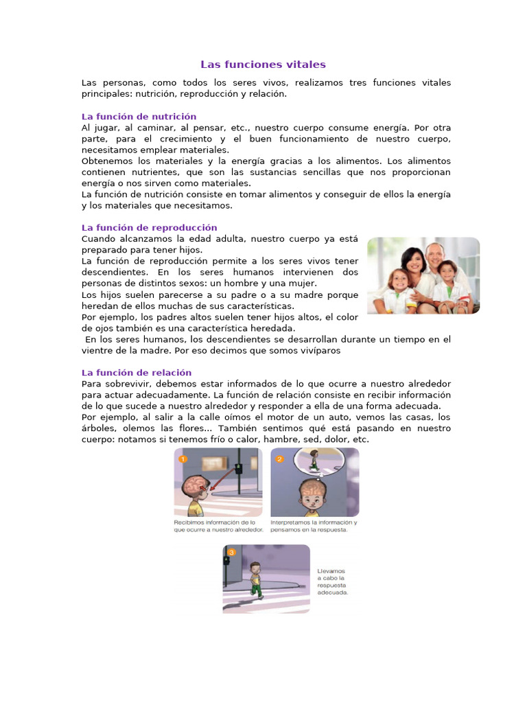 Funciones Vitales de los Seres Vivos | PDF | Nutrición | Dieta y nutrición