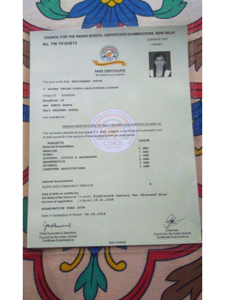 Board Certificate | PDF