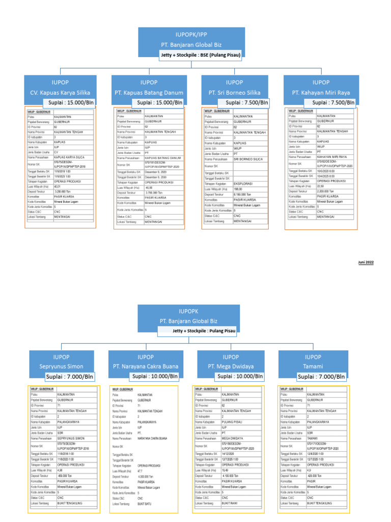 Piramida Resources | PDF