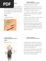 Viktor Lowenfeld's Art Growth Theory | PDF | Experience | Awareness