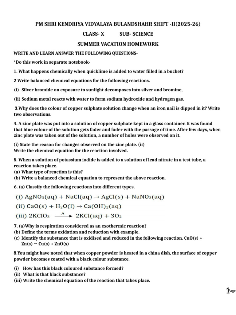 Summer Vacation Science Hw-x-2025 | PDF | Stoma | Photosynthesis