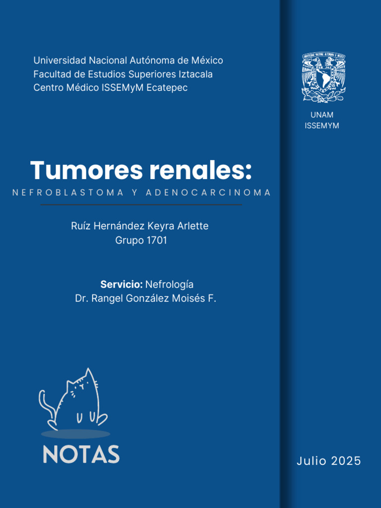 Tumores Renales: Nefroblastoma y CCR | PDF | Cáncer | Enfermedades y ...