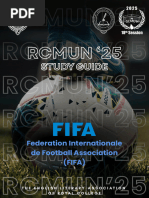 FIFA Stadium Guidelines | PDF