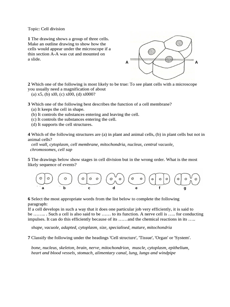 Cell Division Questions | PDF