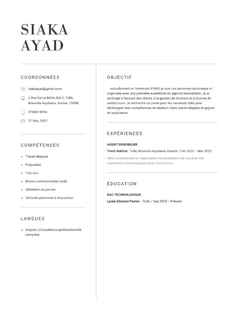 CV Ayad 2 | PDF