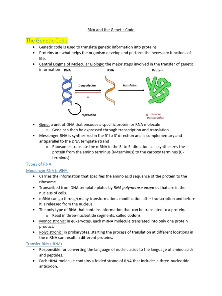 RNA's Role in Genetic Code and Translation | PDF | Translation (Biology ...